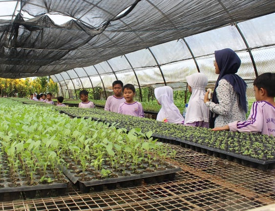 ATP IPB, Wujudkan Kemajuan Pertanian Indonesia – Kecipir Organik